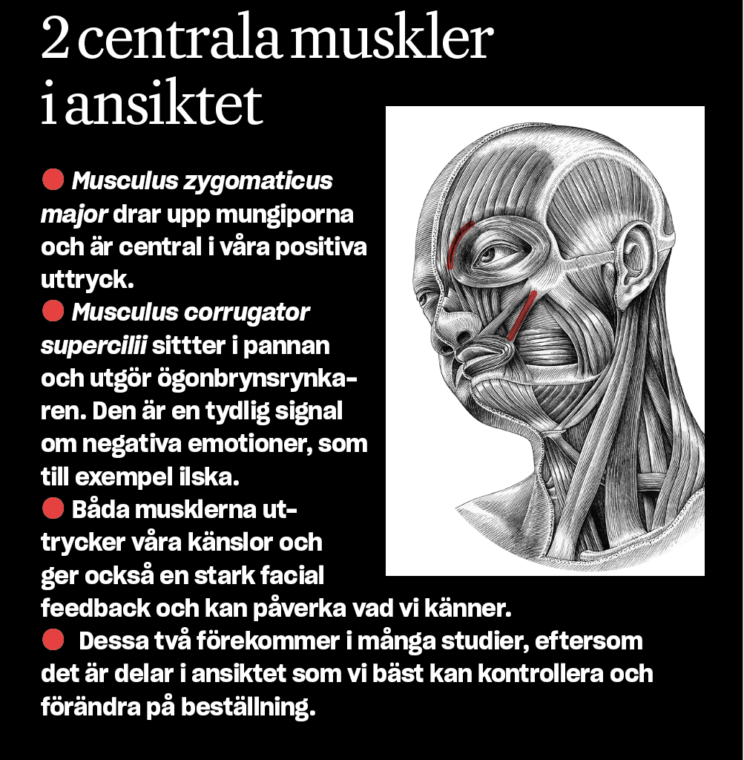 Lär dig tyda ansiktsuttryck - Modern Psykologi